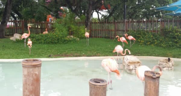 18 Outdoor Spring Break Activities for the Entire Family - Ice Cream n ...