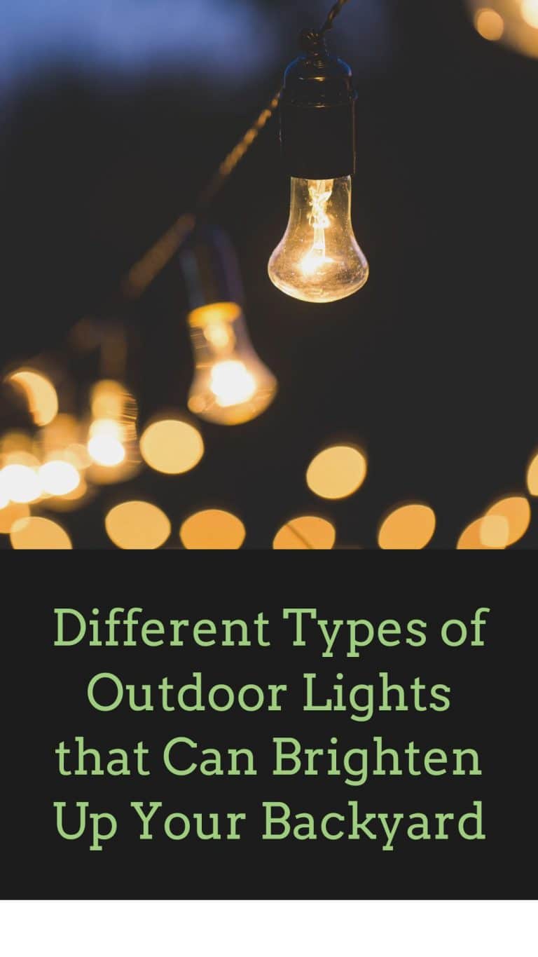 Different Types of Outdoor Lights that Can Brighten Up Your Backyard ...