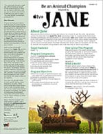 Jane Debuts April 14th on Apple TV+ - Ice Cream n Sticky Fingers
