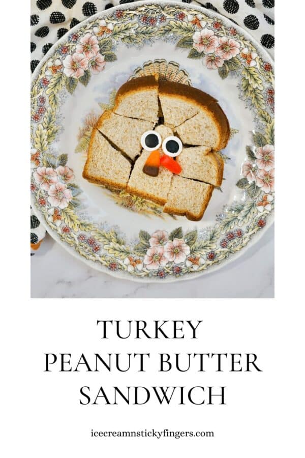 Turkey Peanut Butter Sandwich - Ice Cream n Sticky Fingers