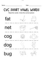 CVC Short Vowel Word Worksheets - Ice Cream n Sticky Fingers