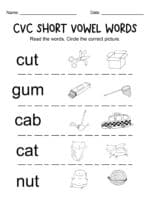 CVC Short Vowel Word Worksheets - Ice Cream n Sticky Fingers