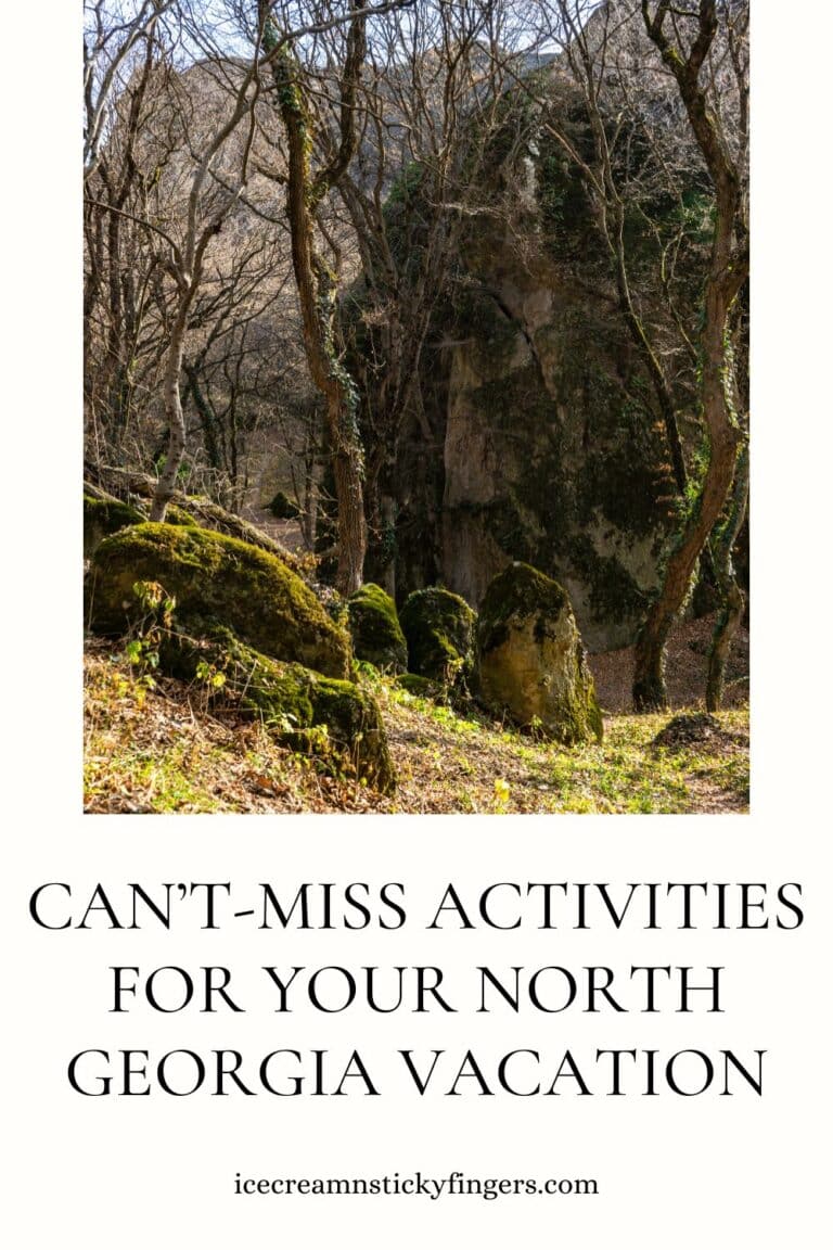 Can’t-Miss Activities for Your North Georgia Vacation - Ice Cream n ...