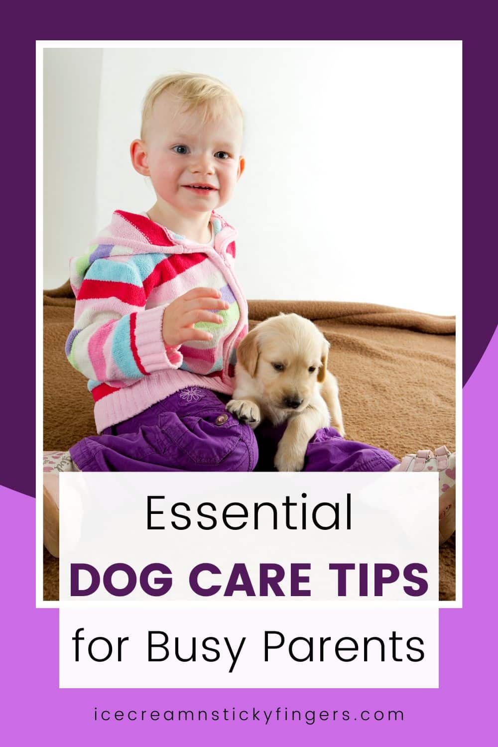 Essential Dog Care Tips for Busy Parents - Ice Cream n Sticky Fingers